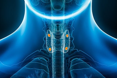 Procedures - Tulane Thyroid Center
